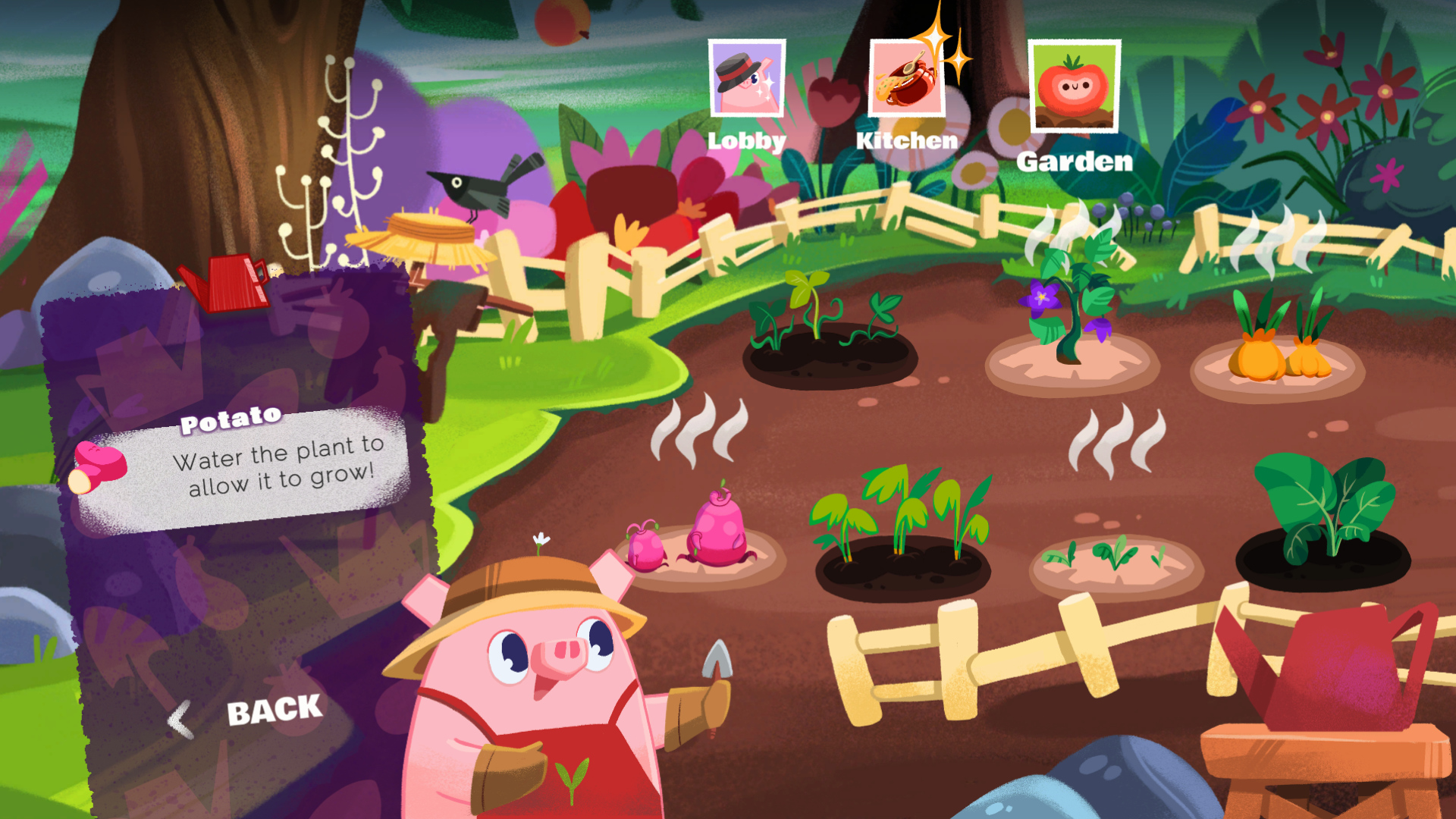 Nif Nif – Springfox Games